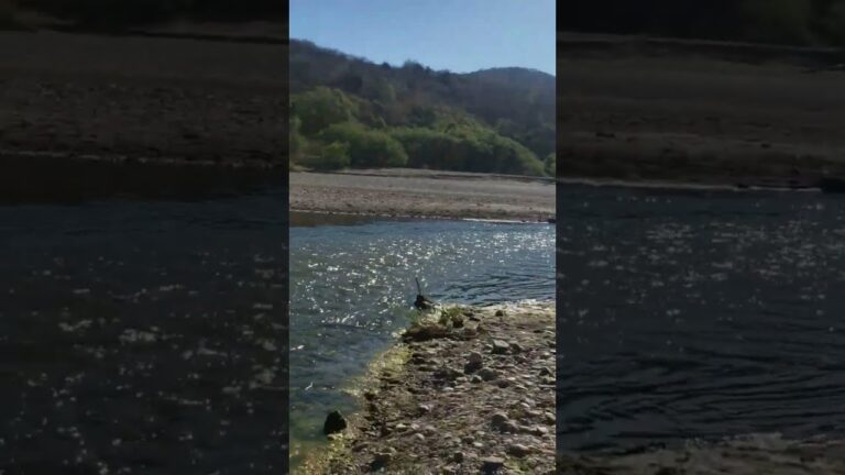 Private driver from Mexico City to San Juan Raya: Fossil-rich area in ...