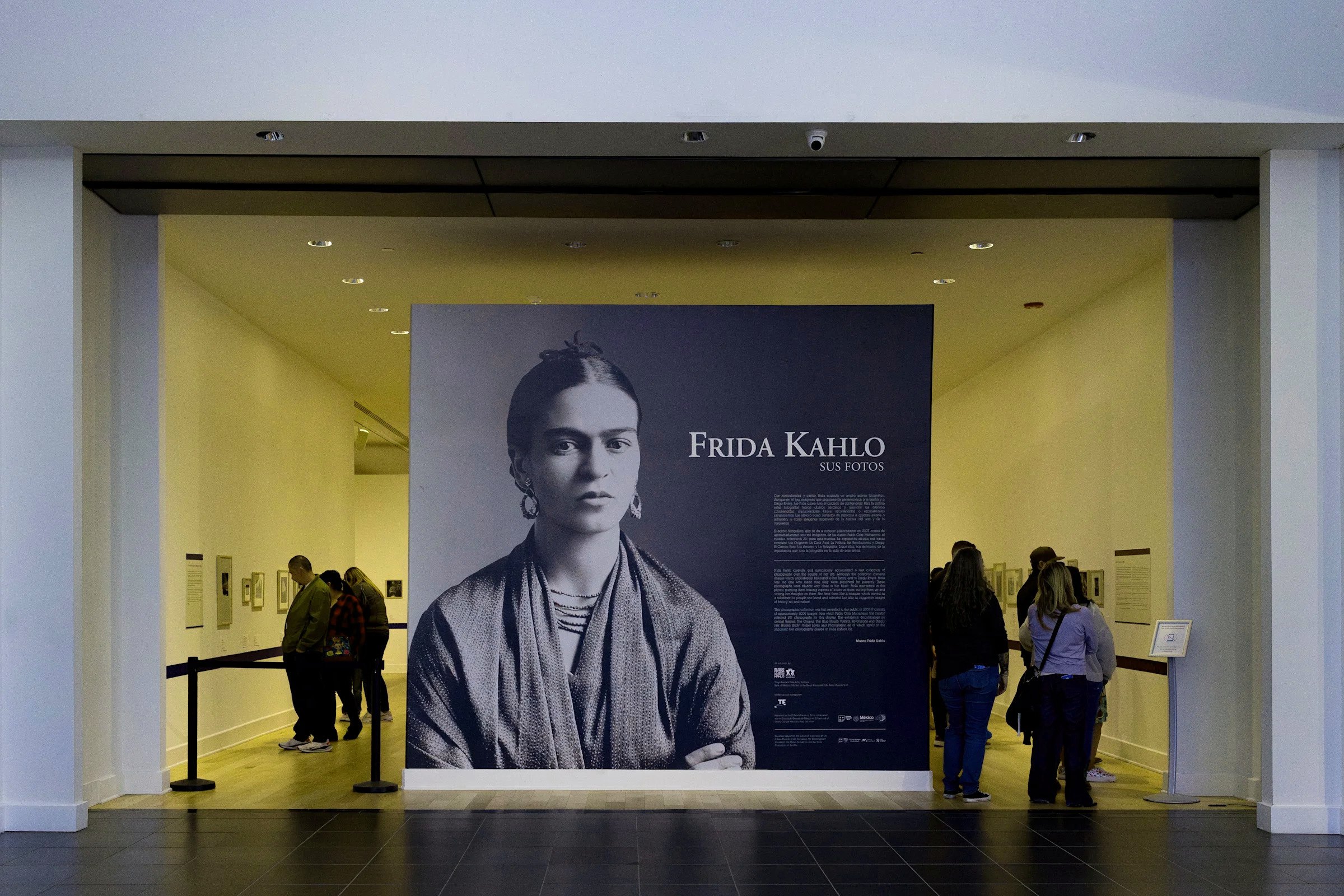 Reopening of Frida Kahlo Collection at Dolores Olmedo Museum - Mexico ...